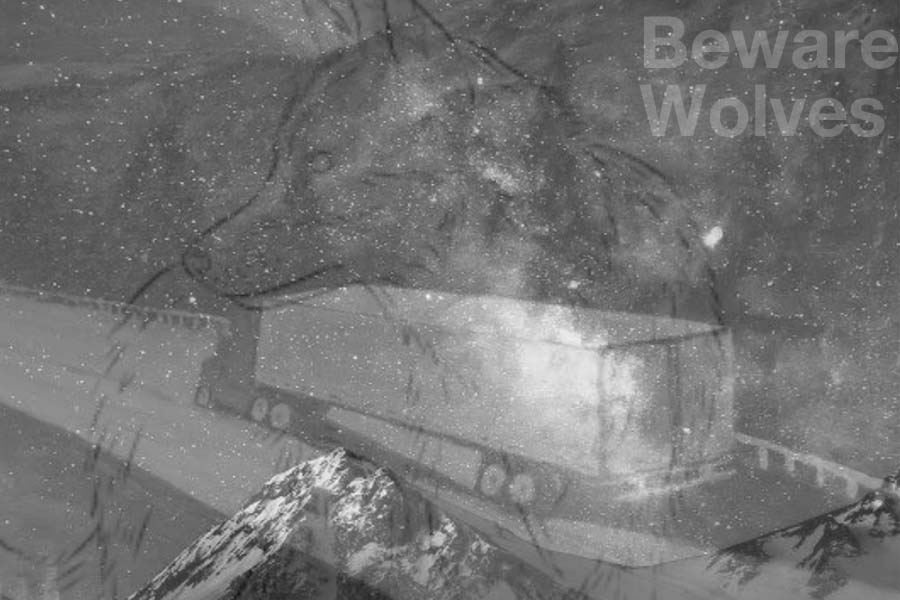 The Saga of Beware Wolves – New Underground Icon – The Wild Is Calling